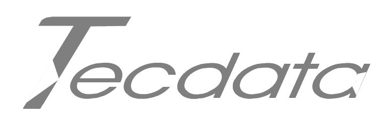 Tecdata, Tecnología en sistemas de información